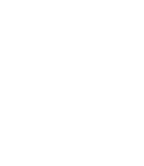 Dan River Falls | A reimagining steeped in history