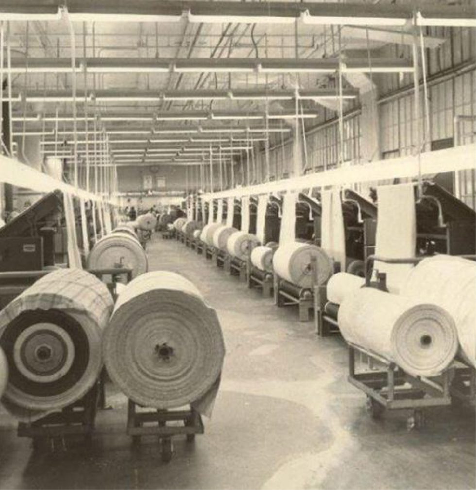 History | Dan River Falls